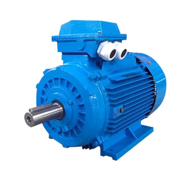 FEM Motor Archives - EMPOWER DRIVES & AUTOMATION SDN. BHD.